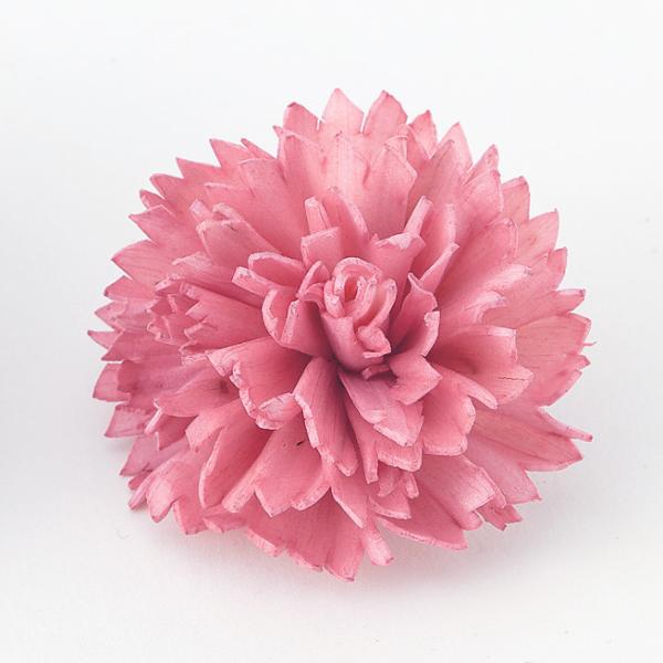 【商品番号：028-01884】/【VAR：4516】date20231027/32761-210ソラフラワー ソラカーネーション【大地農園】