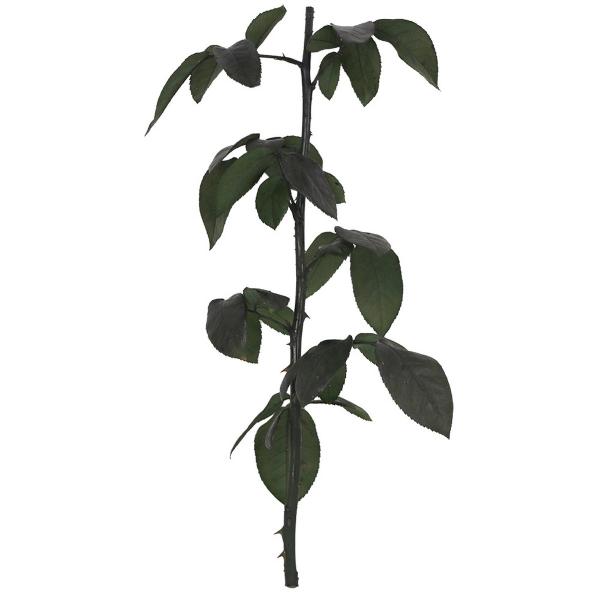 【商品番号：028-01946】/【VAR：77133】date20231219プリザーブドグリーン 葉物