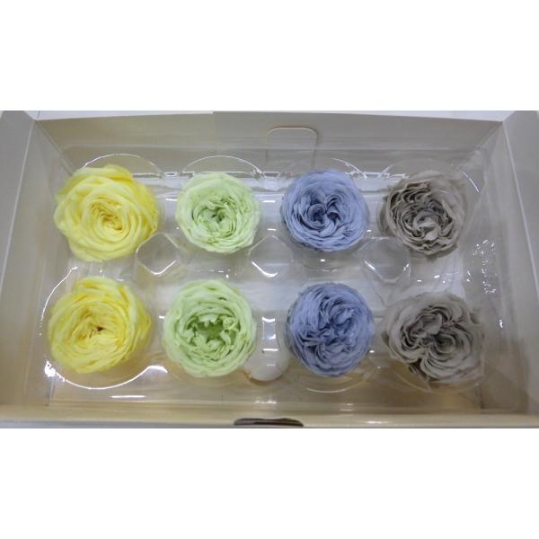 【商品番号：028-01948】/【VAR：65620】date20231219プリザーブドフラワー花材 バラ（ローズ）【GARDEN PALETTE MONO】