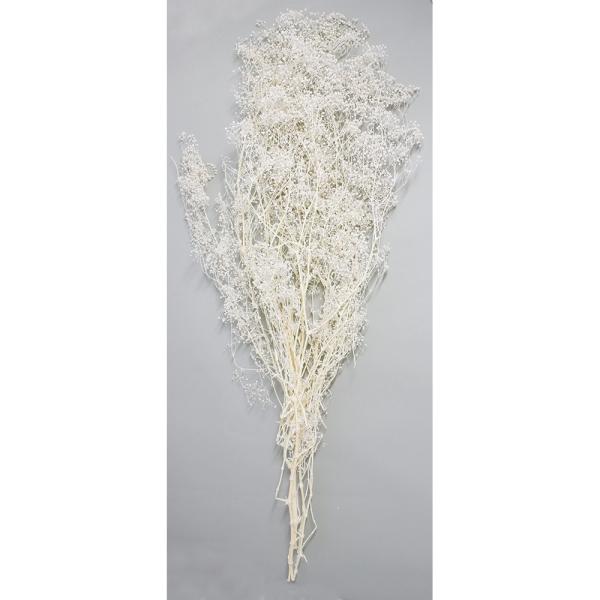 【商品番号：028-01986】/【VAR：27750】date20240504プリザーブドフラワー花材 カスミ草【GARDEN PALETTE MONO】