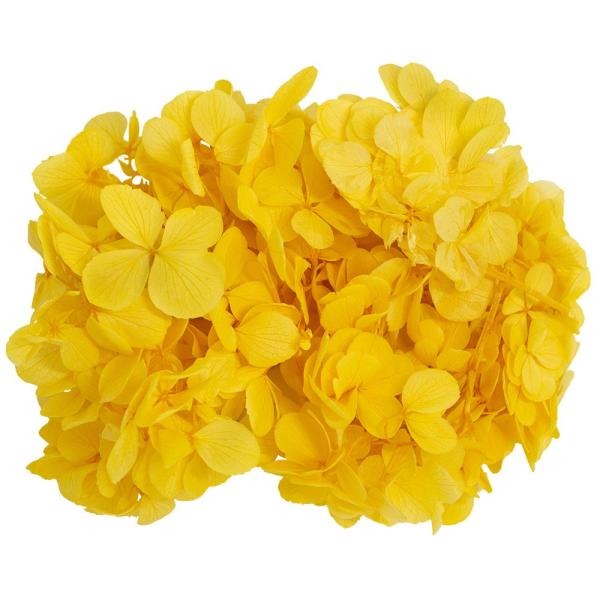 【商品番号：028-01987】/【VAR：27658】date20240504プリザーブドフラワー花材 アジサイ【GARDEN PALETTE MONO】