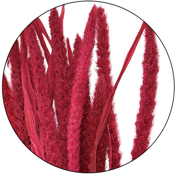 【商品番号：028-01998】/【VAR：81345】date20240610ドライ穂物 その他【GARDEN PALETTE MONO】