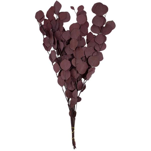 【商品番号：028-02002】/【VAR：27678】date20240610/bk-4008プリザーブドグリーン 葉物【GARDEN PALETTE MONO】