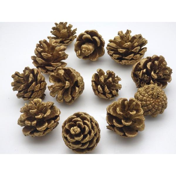 【商品番号：028-02027】/【VAR：81385】date20241015ドライ実物＆フルーツ 松かさ、から松