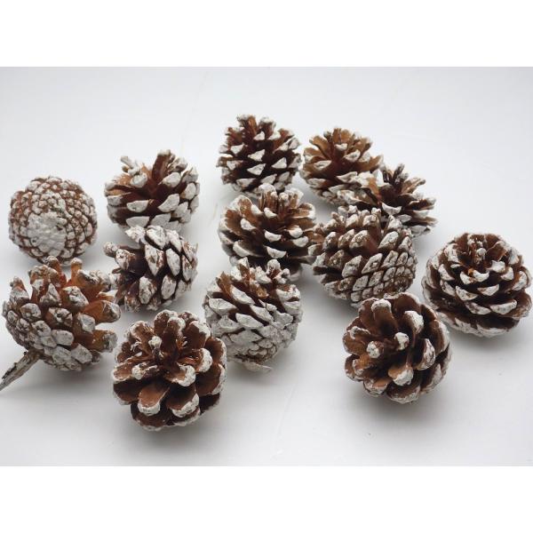 【商品番号：028-02029】/【VAR：81385】date20241015ドライ実物＆フルーツ 松かさ、から松