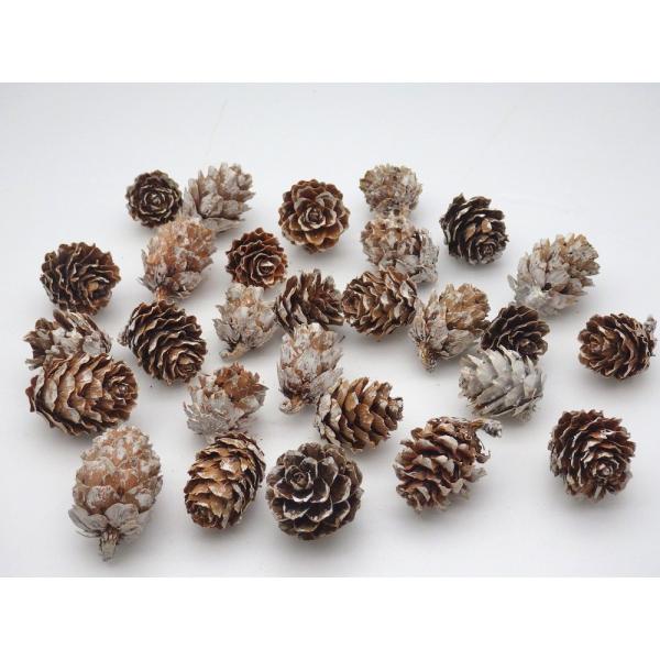 【商品番号：028-02031】/【VAR：81386】date20241015ドライ実物＆フルーツ 松かさ、から松