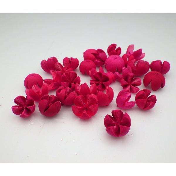 【商品番号：028-02034】/【VAR：81387】date20241015ドライ実物＆フルーツ 木の実