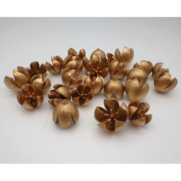 【商品番号：028-02035】/【VAR：81387】date20241015ドライ実物＆フルーツ 木の実