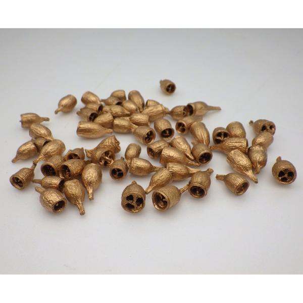 【商品番号：028-02039】/【VAR：81388】date20241015ドライ実物＆フルーツ 木の実