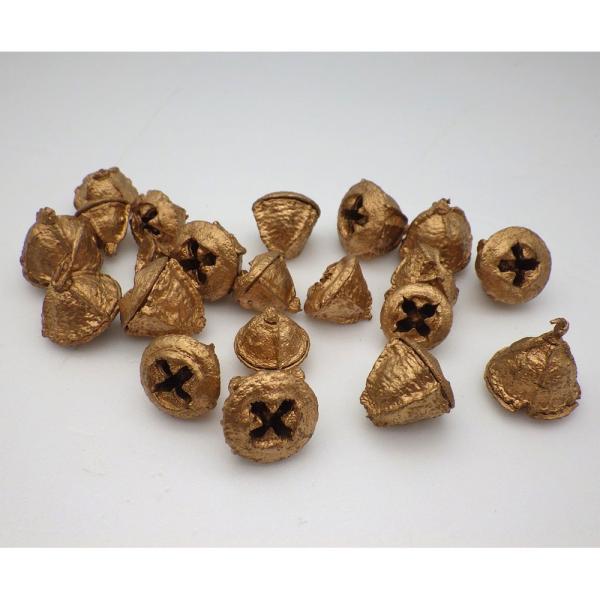 【商品番号：028-02042】/【VAR：81389】date20241015ドライ実物＆フルーツ 木の実【GARDEN PALETTE MONO】