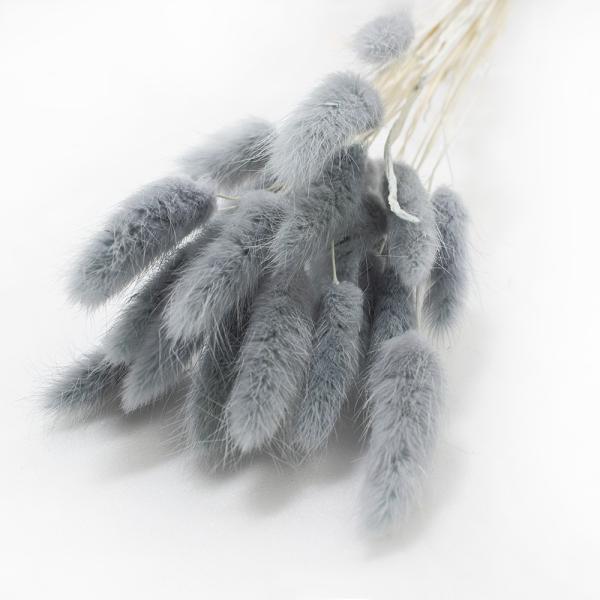 【商品番号：028-02044】/【VAR：67434】date20241015ドライフラワー花材 ラグラス