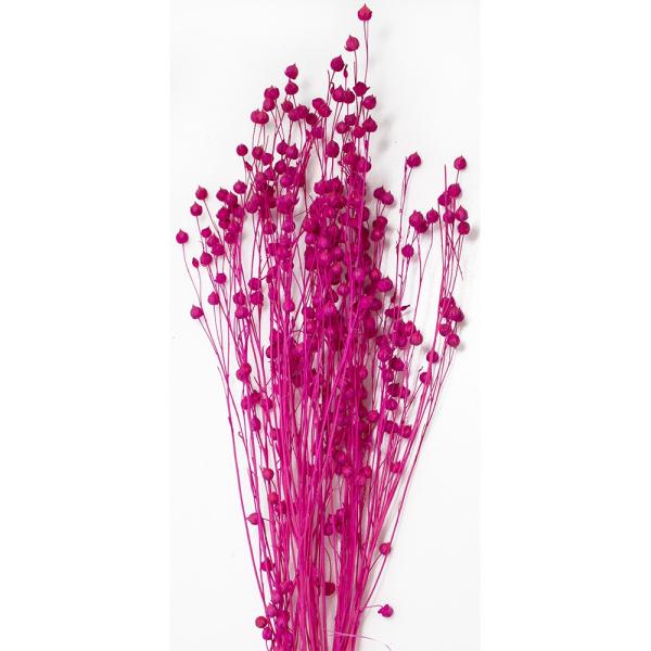 【商品番号：028-02054】/【VAR：81391】date20241015ドライフラワー花材 その他ドライフラワー