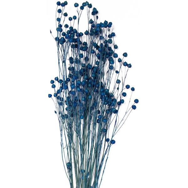 【商品番号：028-02055】/【VAR：81391】date20241015ドライフラワー花材 その他ドライフラワー