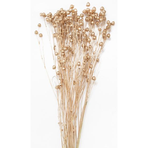 【商品番号：028-02058】/【VAR：81391】date20241015ドライフラワー花材 その他ドライフラワー