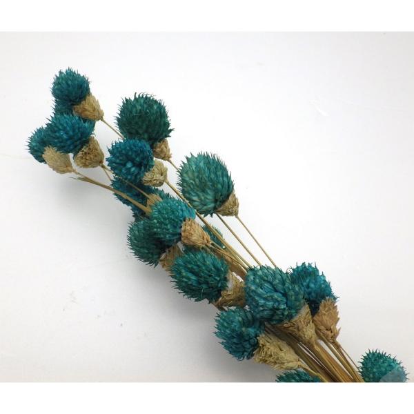 【商品番号：028-02083】/【VAR：81393】date20241015ドライフラワー花材 センニチコウ（千日紅）