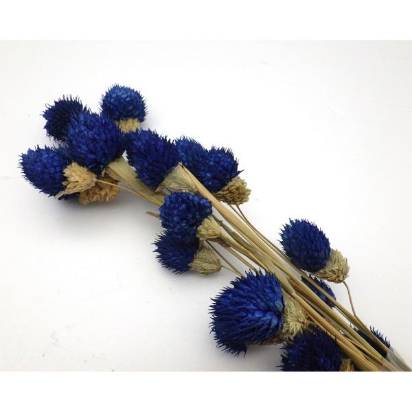 【商品番号：028-02084】/【VAR：81393】date20241015ドライフラワー花材 センニチコウ（千日紅）