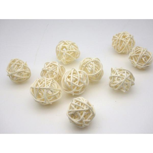 【商品番号：028-02085】/【VAR：81394】date20241015ドライ枝物 その他