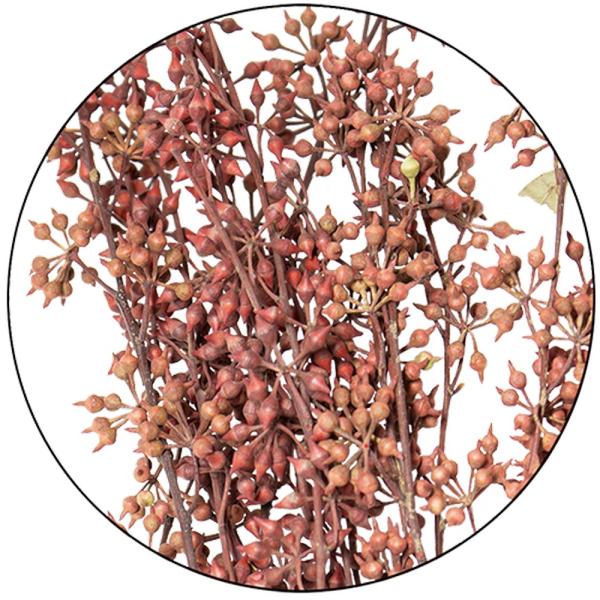 【商品番号：028-02090】/【VAR：81396】date20241015ドライ葉物 その他