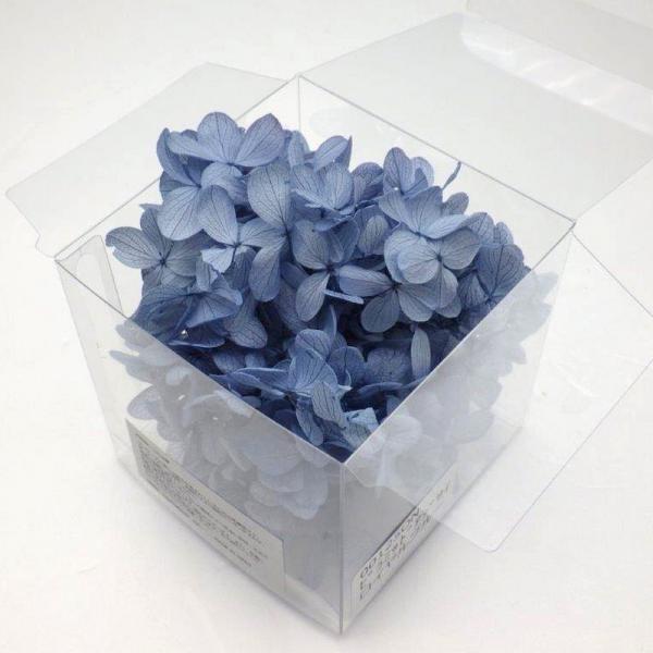 【商品番号：028-02136】/【VAR：27737】date20241104/01510-641/bk-5004プリザーブドフラワー花材 アジサイ【大地農園】