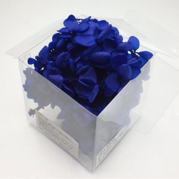 【商品番号：028-02141】/【VAR：27737】date20241104/01510-661/bk-5004プリザーブドフラワー花材 アジサイ【大地農園】