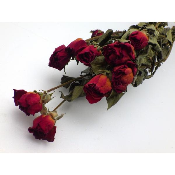 【商品番号：028-02195】/【VAR：81416】date20241202ドライフラワー花材 バラ（ローズ）【GARDEN PALETTE MONO】