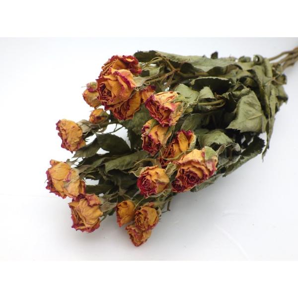 【商品番号：028-02196】/【VAR：81416】date20241202ドライフラワー花材 バラ（ローズ）【GARDEN PALETTE MONO】