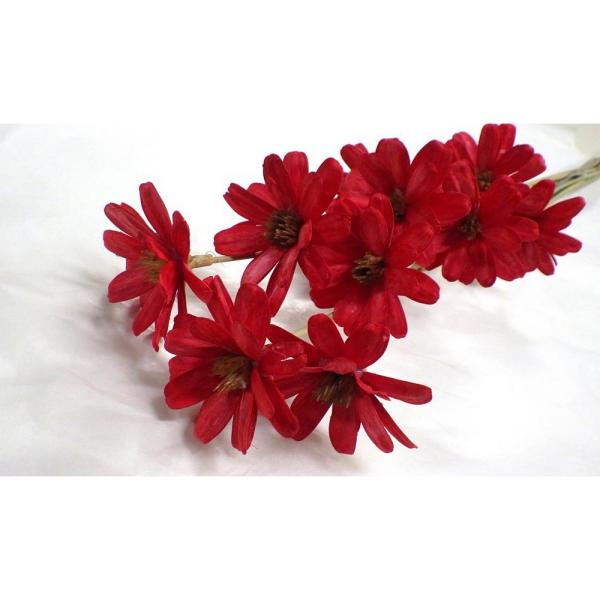 【商品番号：028-02209】/【VAR：67609】date20241202ソラフラワー その他ソラフラワー【GARDEN PALETTE MONO】