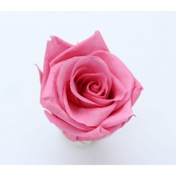 【商品番号：028-02279】/【VAR：84075】date20250418プリザーブドフラワー花材 バラ（ローズ）【GARDEN PALETTE MONO】