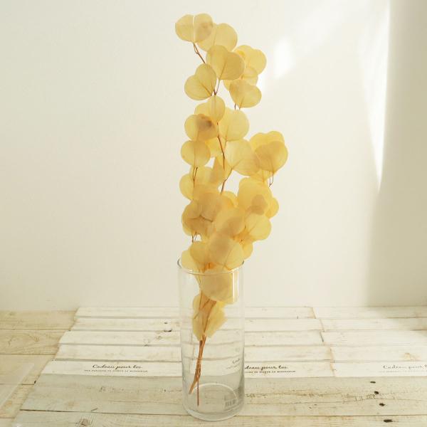 【商品番号：028-02313】/【VAR：88156】date20251016ドライ葉物 リーフ