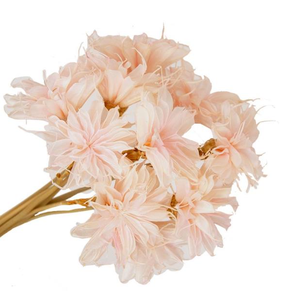 【商品番号：028-02328】/【VAR：88160】date20251016ドライフラワー花材 その他ドライフラワー【GARDEN PALETTE MONO】