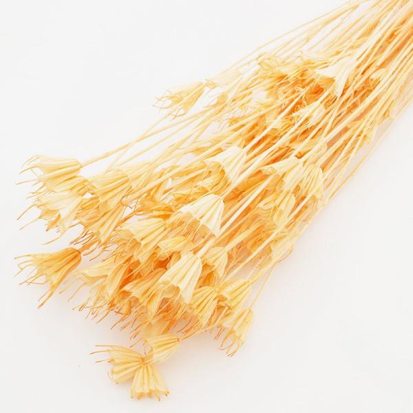 【商品番号：028-02334】/【VAR：88161】date20251016ドライフラワー花材 ニゲラ