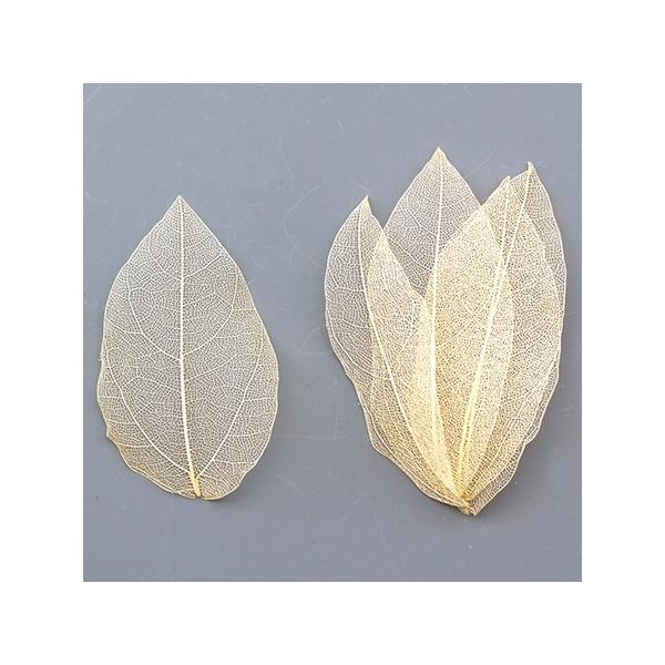 【商品番号：028-02371】【VAR：32370】date20260511 ドライ葉物 リーフ