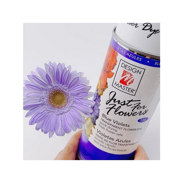 【商品番号：029-00499】/【VAR：8914】date20250818デコレーションパーツ・素材 グリッター、カラースプレー【オアシス】