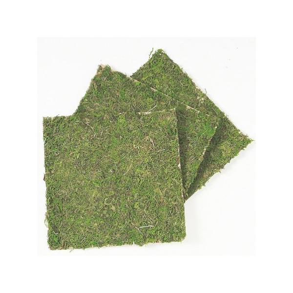 【商品番号：030-00479】/【VAR：8302】TOKA/71070/4940095710704/bk-0026/2019newyear//bk-3017ドライ葉物 モス・苔【東花】