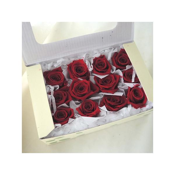 【商品番号：030-50127】/【VAR：8076】/DASFL050-10/4543567505107/biridal_kikaku-21/15px-003/bk-0021/18hwdp2/bk-1021/hahanohi/bk-300...