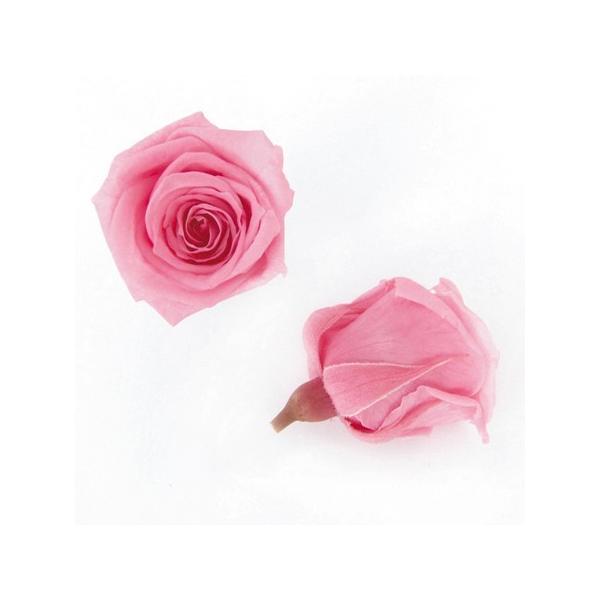 【商品番号：030-50151】/【VAR：2297】/DASFL050-47/4543567505473/chichinohi-14/16v-003/16yes-011/bk-1021/hahanohi/bk-3001プリザーブドフラワー...