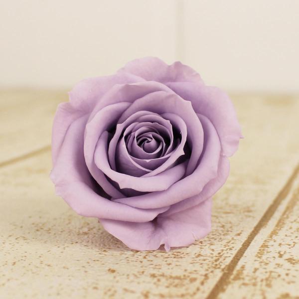 【商品番号：030-50697】/【VAR：2299】フロールエバー新商品201204/FL070-43/4543567507439/18hwdp3/bk-2022/hahanohi/bk-3002プリザーブドフラワー花材 バラ（ローズ）【...