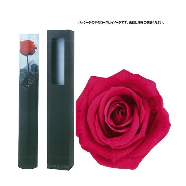 【商品番号：030-50928】/【VAR：2303】フロールエバー新商品201301/FL092-08/4543567803081/chichinohi-09/biridal_kikaku-25/hahanohi/16v-003/bk-3...