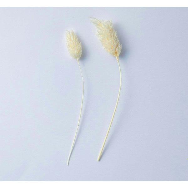 【商品番号：030-56713】/【VAR：61481】20200107new/bk-3016ドライフラワー花材 ボタンフラワー