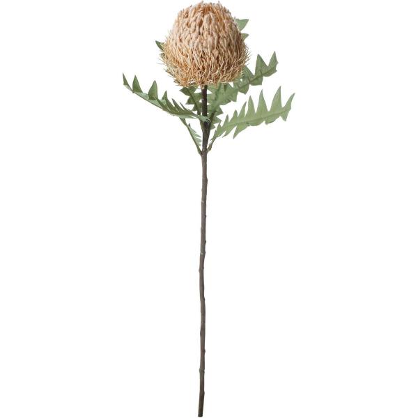 【商品番号：030-58952】/【VAR：71454】20220829new/bk-2005/bkz-0308/bkz-0508造花 「わ行」 ワイルドフラワー【横浜ディスプレイミュージアム】