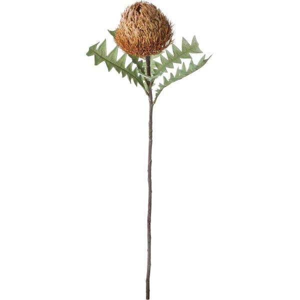 【商品番号：030-58953】/【VAR：71454】20220829new/bk-2005/color20230919/bkz-0308/bkz-0508造花 「わ行」 ワイルドフラワー【横浜ディスプレイミュージアム】