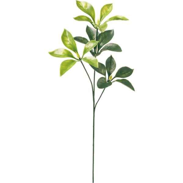 【商品番号：030-59710】/【VAR：】20230117new造花葉物、フェイクグリーン サカキ【横浜ディスプレイミュージアム】