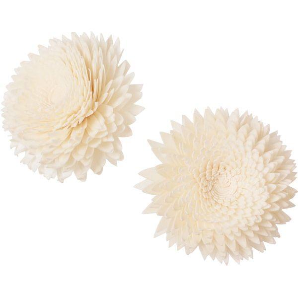 【商品番号：030-60029】/【VAR：25538】20230707new/ydym23aw31/24awymydn1ソラフラワー その他ソラフラワー【横浜ディスプレイミュージアム】