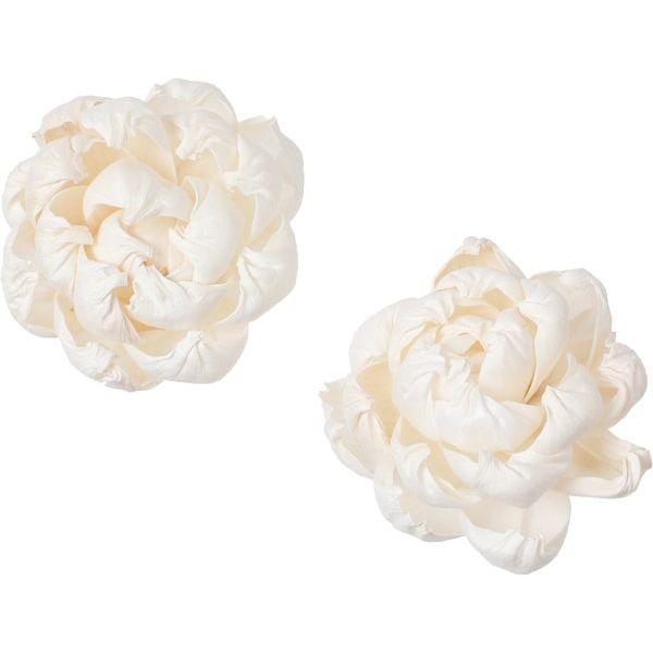 【商品番号：030-60035】/【VAR：76768】20230707new/ydym23aw31/24awymydn1ソラフラワー その他ソラフラワー【横浜ディスプレイミュージアム】