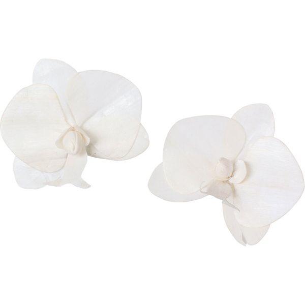 【商品番号：030-60039】/【VAR：76768】20230707new/ydym23aw31/24awymydn1/bk-4009ソラフラワー その他ソラフラワー