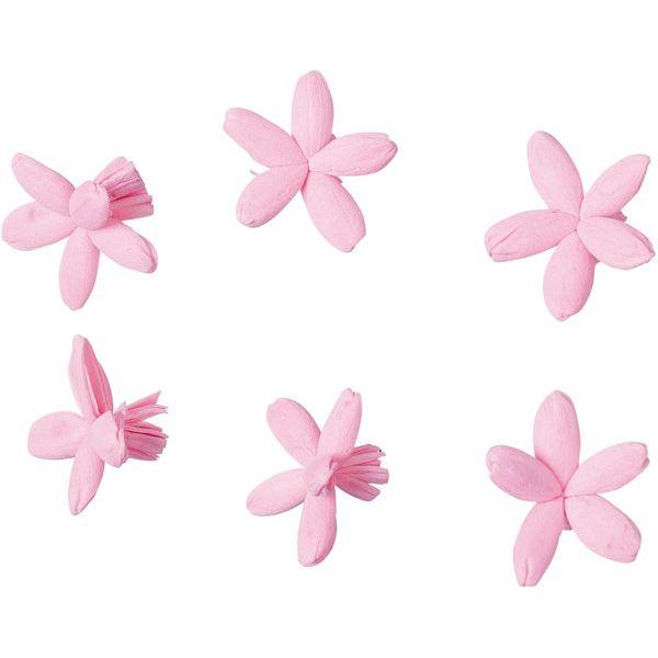 【商品番号：030-60045】/【VAR：76768】20230707new/ydym23aw31/24awymydn1ソラフラワー その他ソラフラワー【横浜ディスプレイミュージアム】