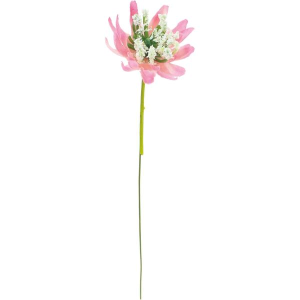 【商品番号：030-60406】/【VAR：80296】date20240130造花 花材「あ行」 アストランチア【横浜ディスプレイミュージアム】