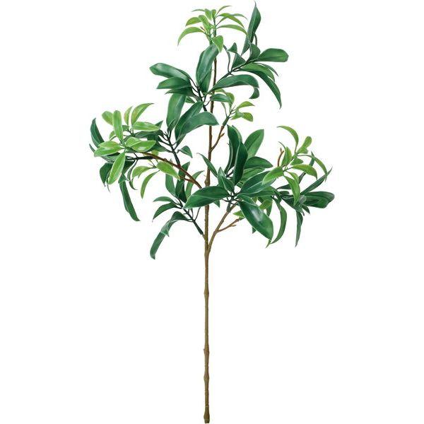 【商品番号：030-61538】/【VAR：】date20250206造花葉物、フェイクグリーン サカキ