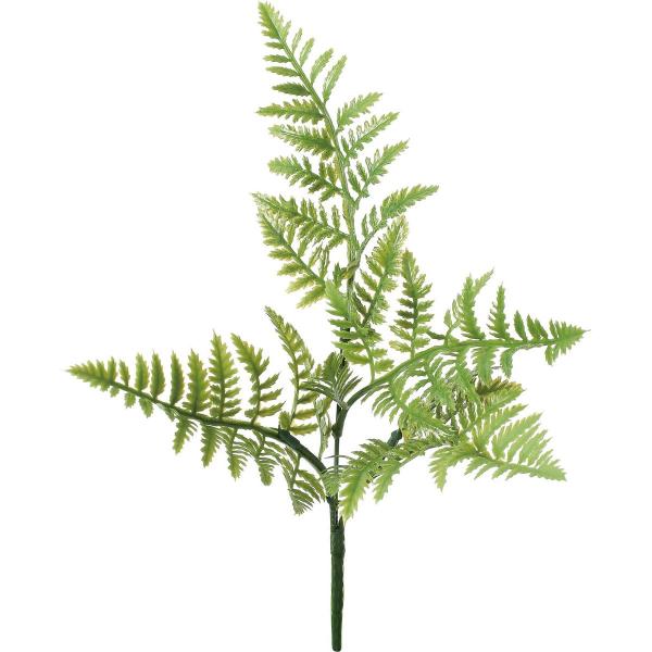 【商品番号：030-62174】/【VAR：】date20250211造花葉物、フェイクグリーン ファーン