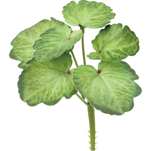 【商品番号：030-62203】/【VAR：83845】date20250211造花葉物、フェイクグリーン その他の造花グリーン